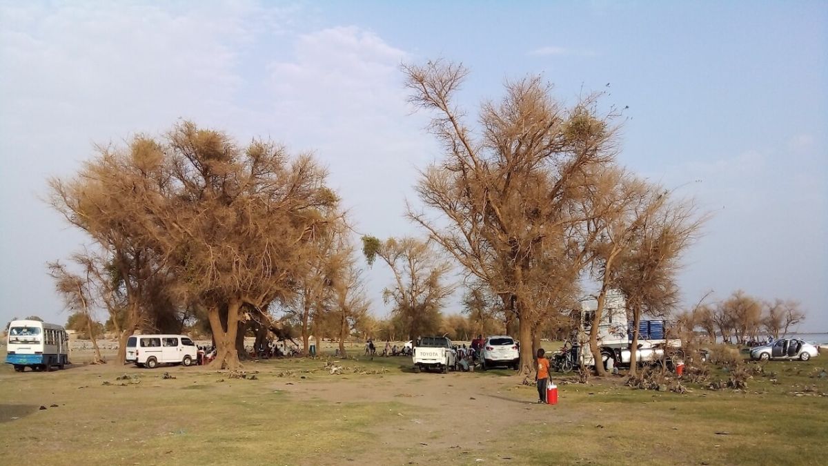 كارثة بيئية صامتة.. الحرب تدفع السودان نحو التصحر - سودان تمورو | Sudan ...